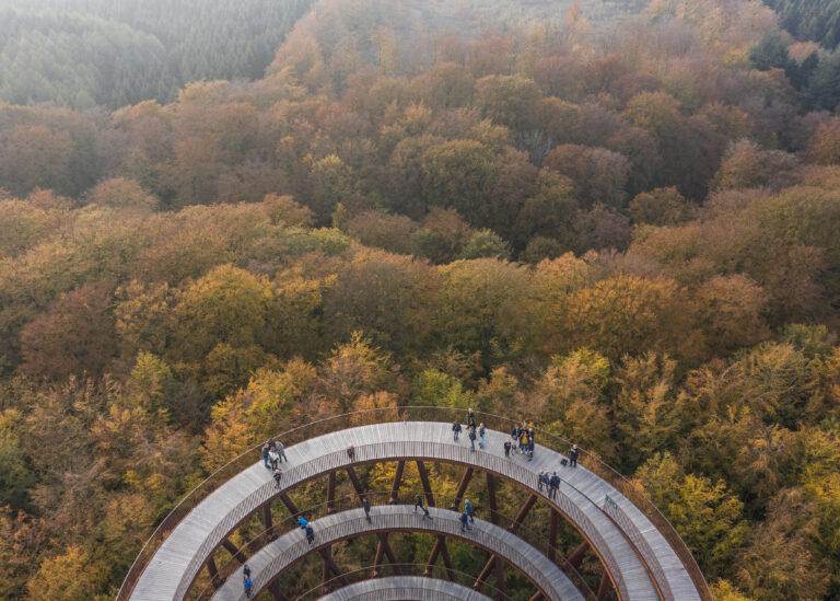 Visit the forest tower on Zealand, a unique nature and architecture ...